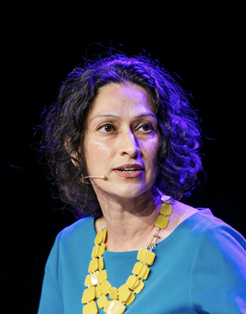 Payal Arora - V2_ Lab for the Unstable Media